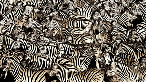 Camouflage – Teachers’ School Survival Guide to Diverse and Inclusive ...